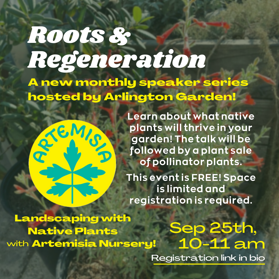Landscaping with Native Plants | Arlington Garden in Pasadena